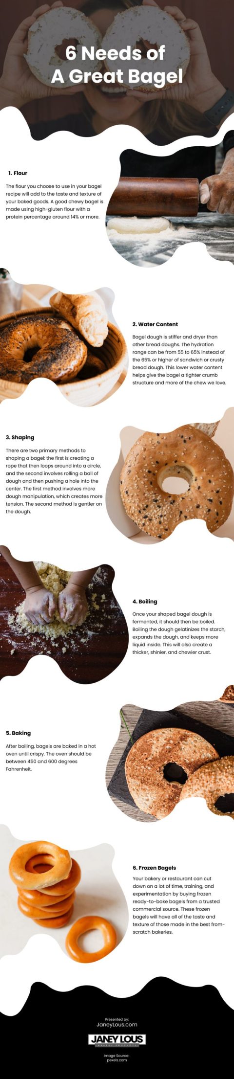 The Building Blocks of a Great Bagel